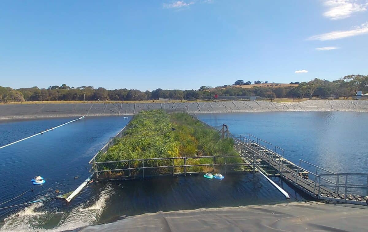 Floating Wetlands Show Promise in Cutting Lagoon Emissions | VicWater